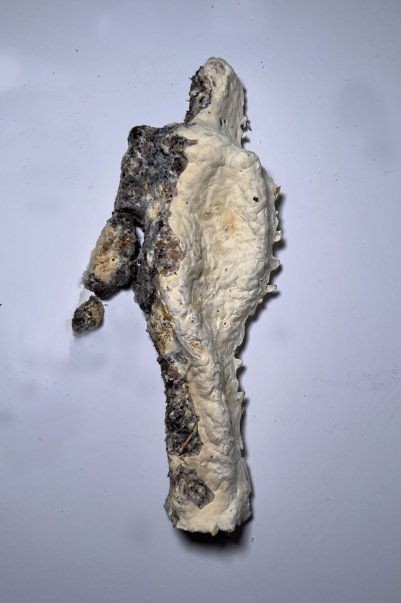 Mycelium Figure – MICA Biofabrication