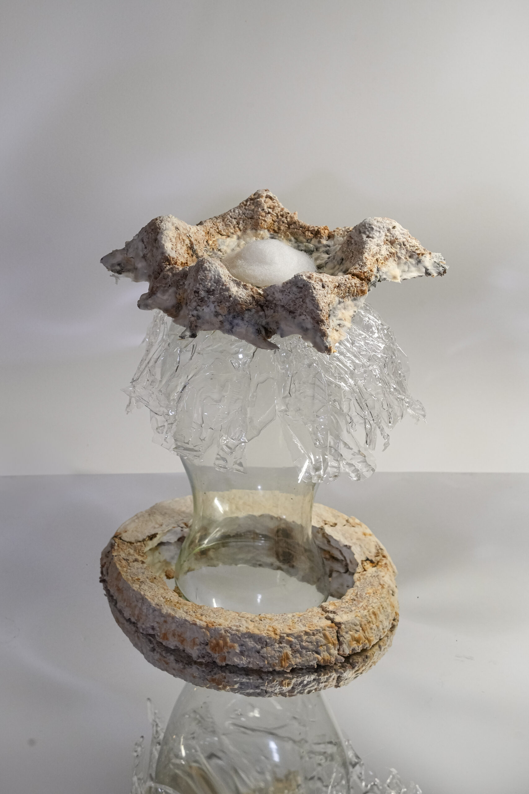 Bacterial Cellulose – MICA Biofabrication