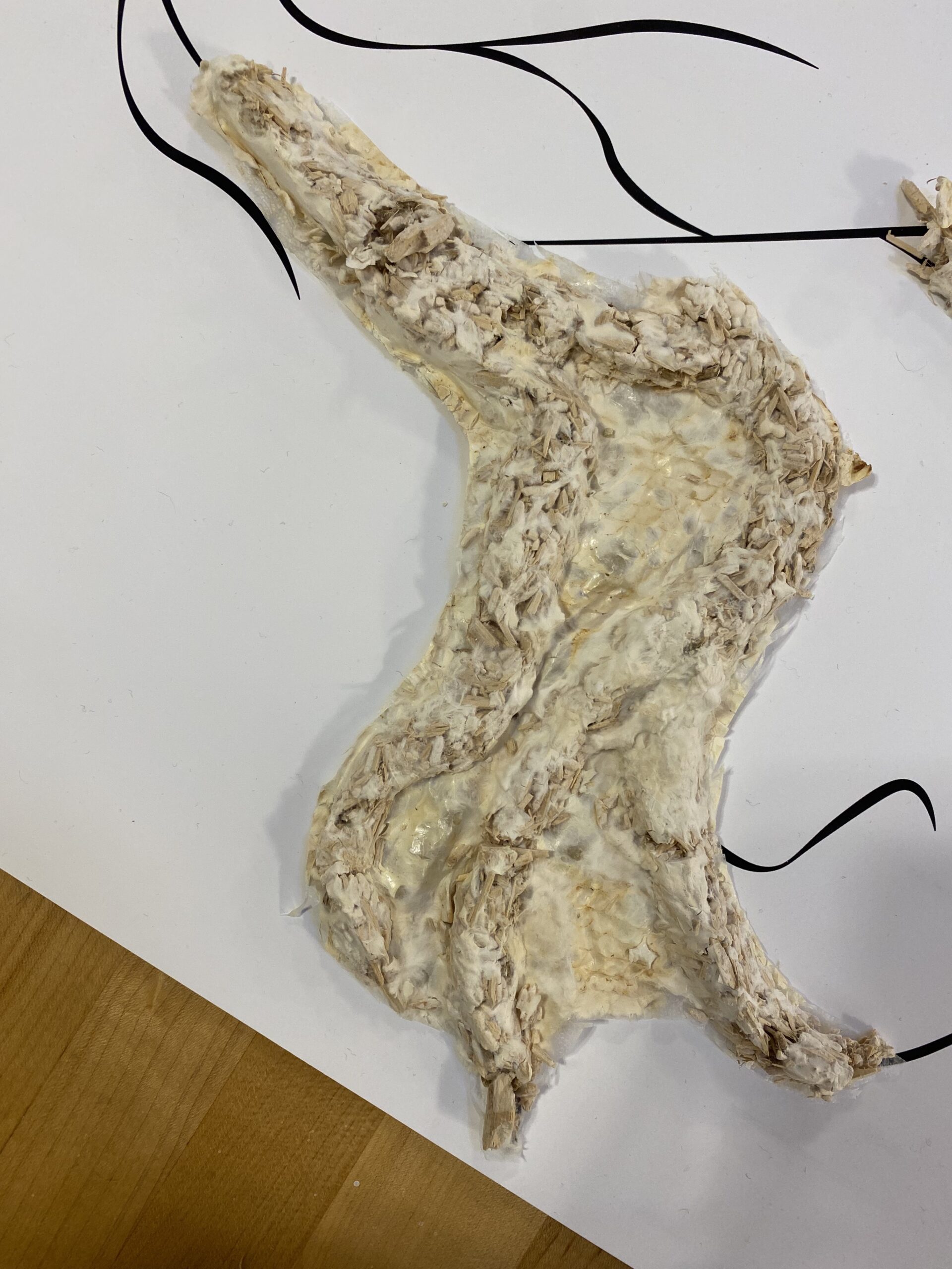 Tree of Life – MICA Biofabrication