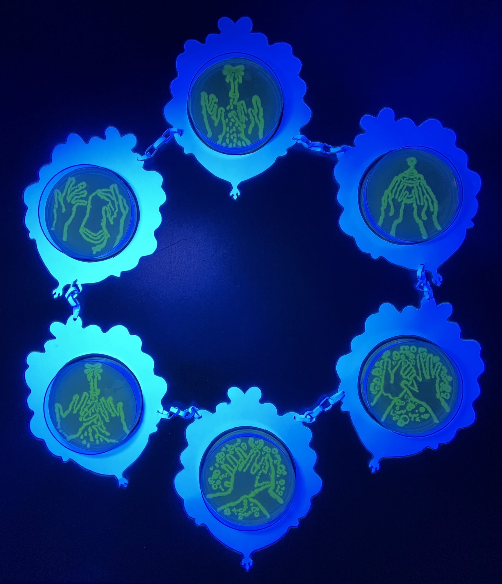 A Paper Chain – Bacterial Prints – MICA Biofabrication