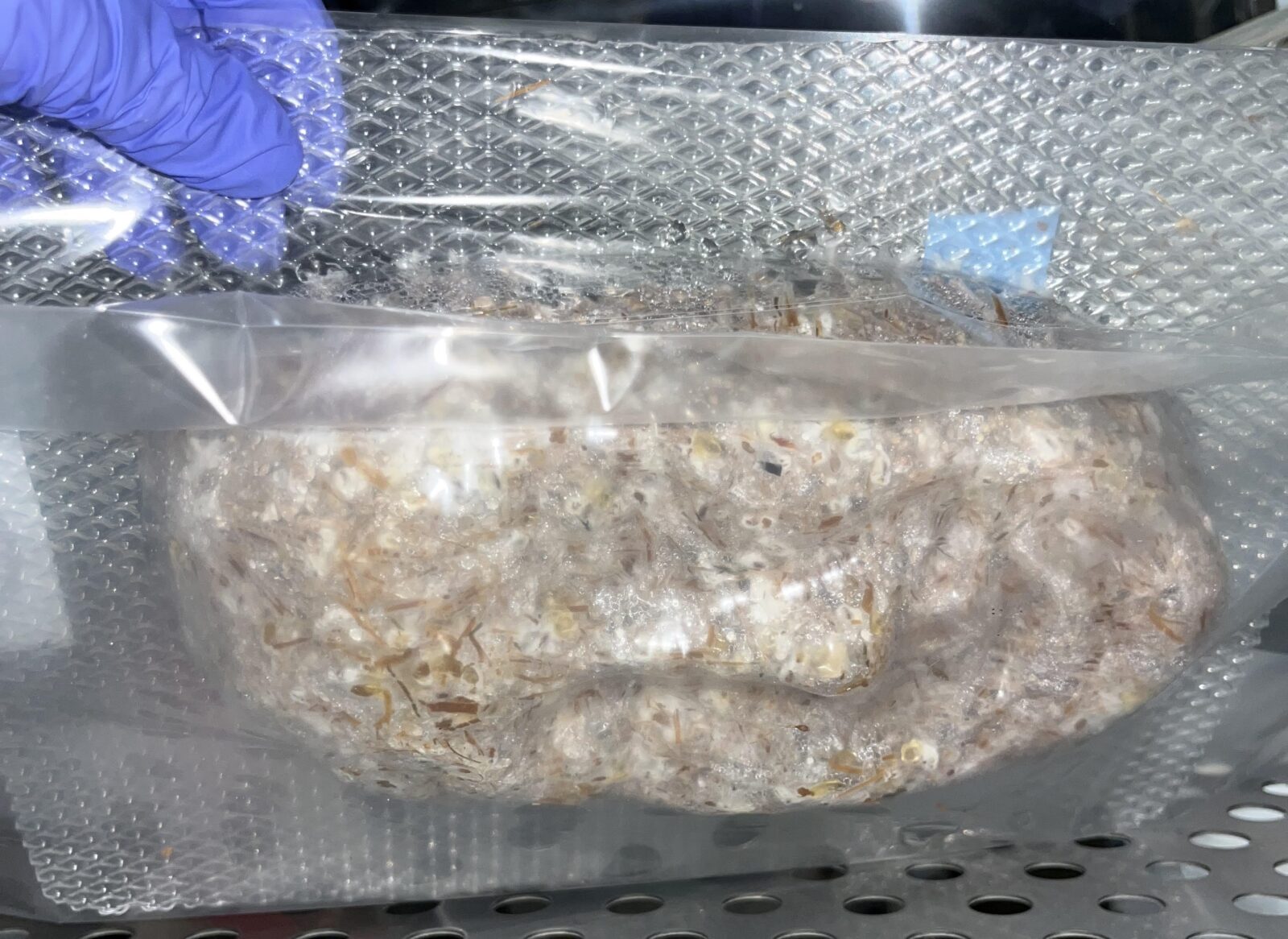 Mycelium Composite Material Casting – MICA Biofabrication