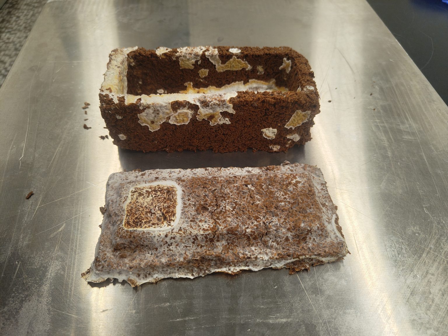 Mycelium Box – MICA Biofabrication